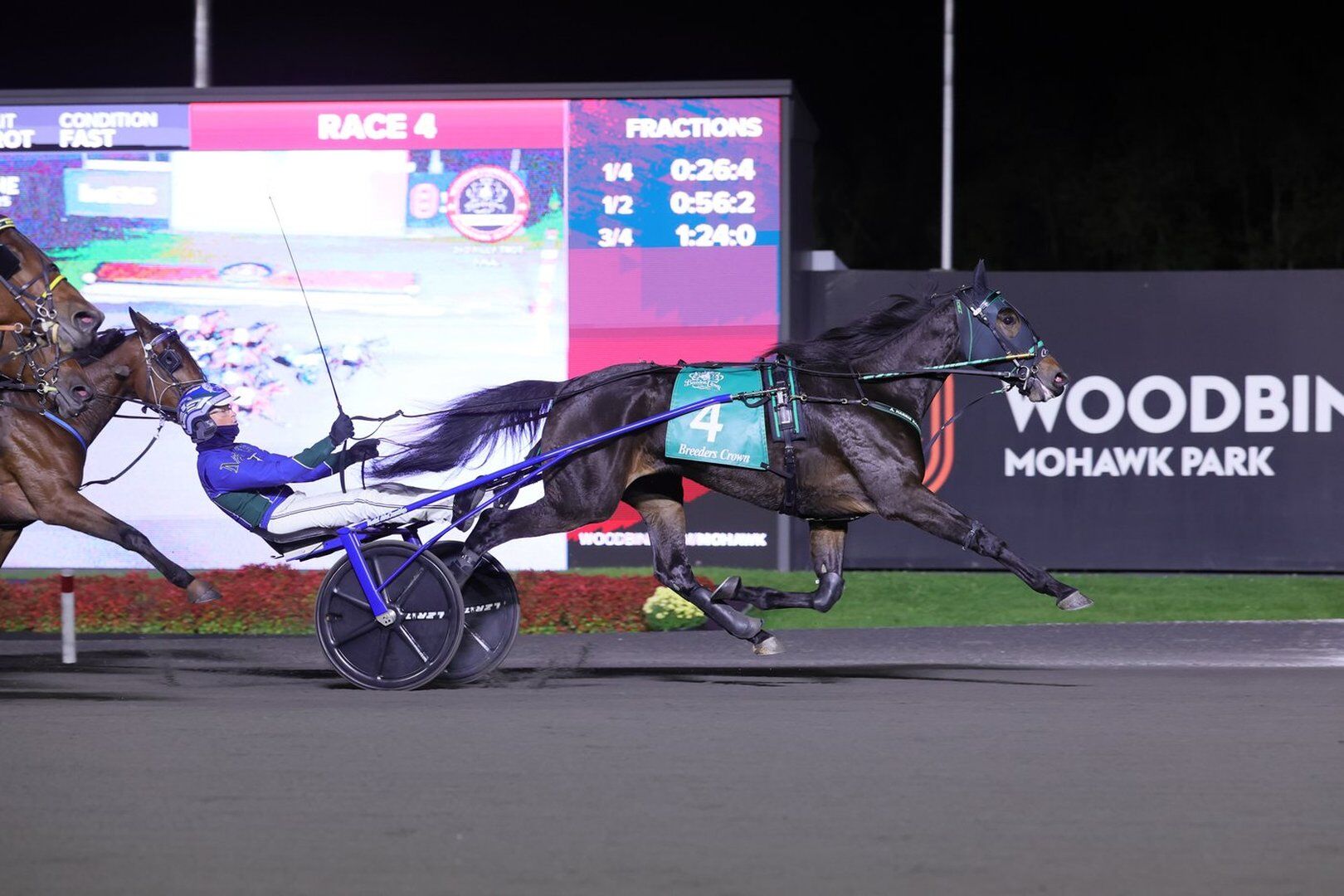 Yo Tillie caps dominant 2025 campaign with Breeders Crown victory