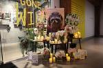 Conrad the raccoon honoured with plaque on Yonge Street