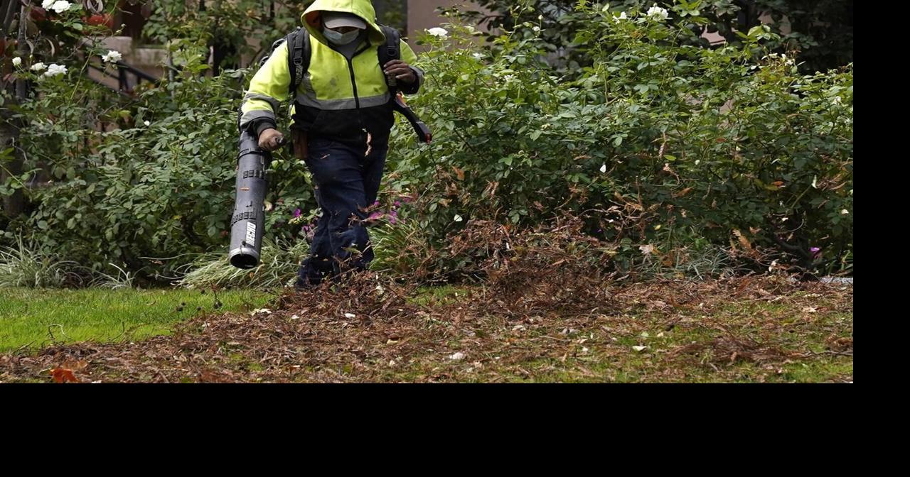 The problem with leaf blowers, and what you can do instead