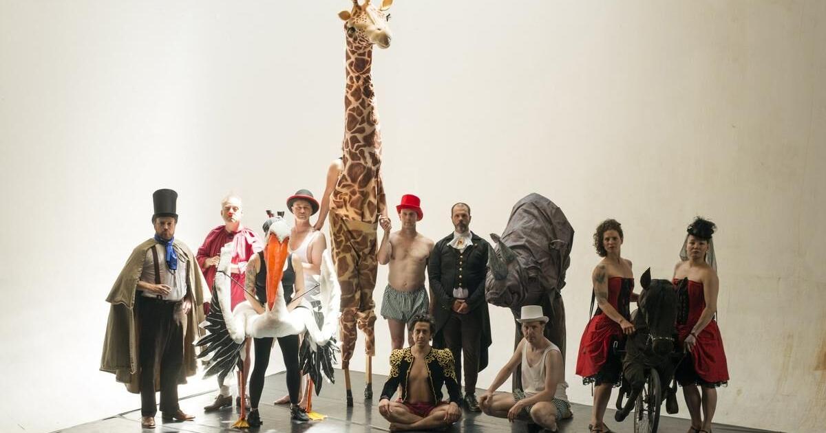 How a 164-year-old brawl became the show Toronto Circus Riot