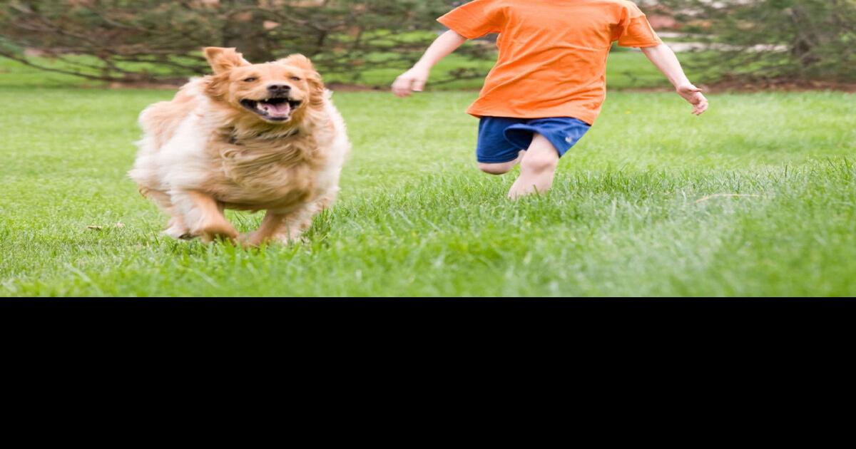 Kids and puppies must learn appropriate play