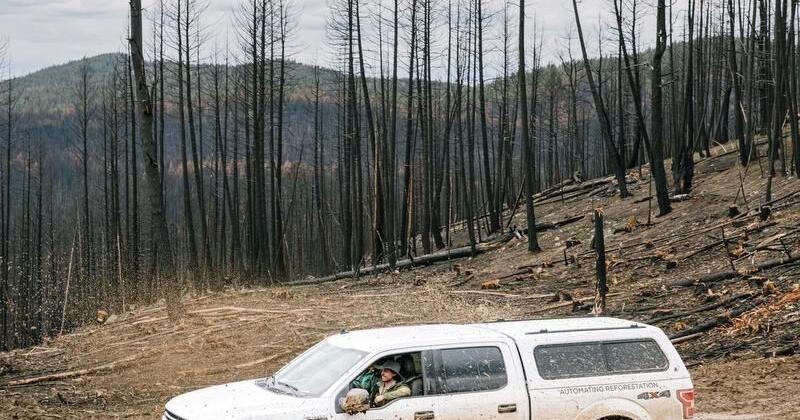 Tech Update: A plan to plant a million trees, the DMZ heads to NYC, and ...
