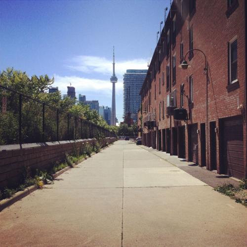 Toronto man wants to photograph every city laneway