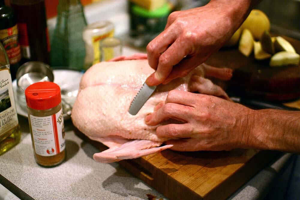 Embrace your inner duck master