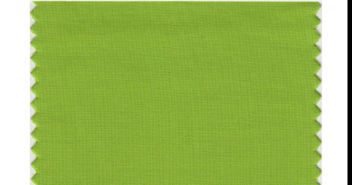 ‘Greenery’ chosen as Pantone’s colour of the year