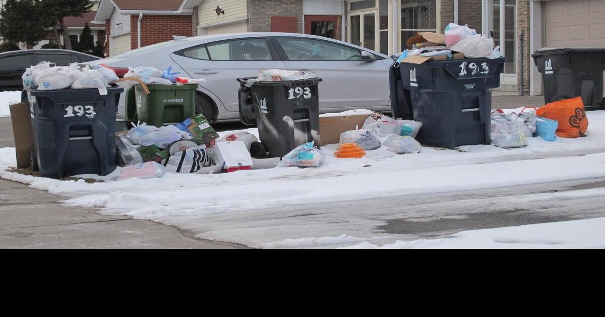 Jammed trash bins send the yuck factor sky-high for nearby neighbours