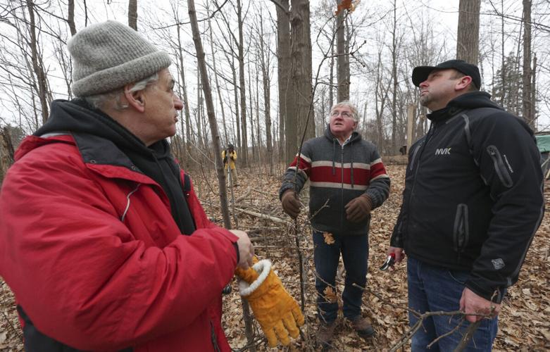 On Vimy Ridge, mighty oaks will grow again — thanks to a Canadian soldier