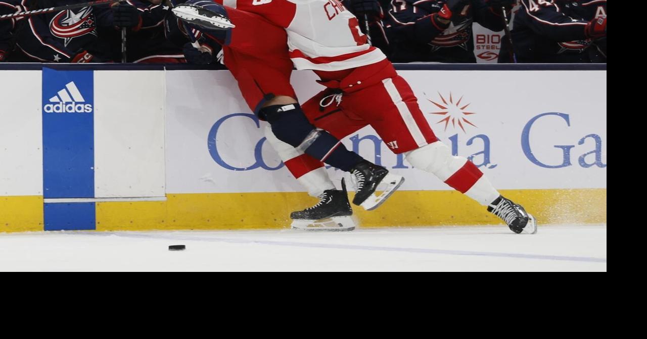 James Reimer stops 23 shots to help lift the Red Wings past the Blue ...