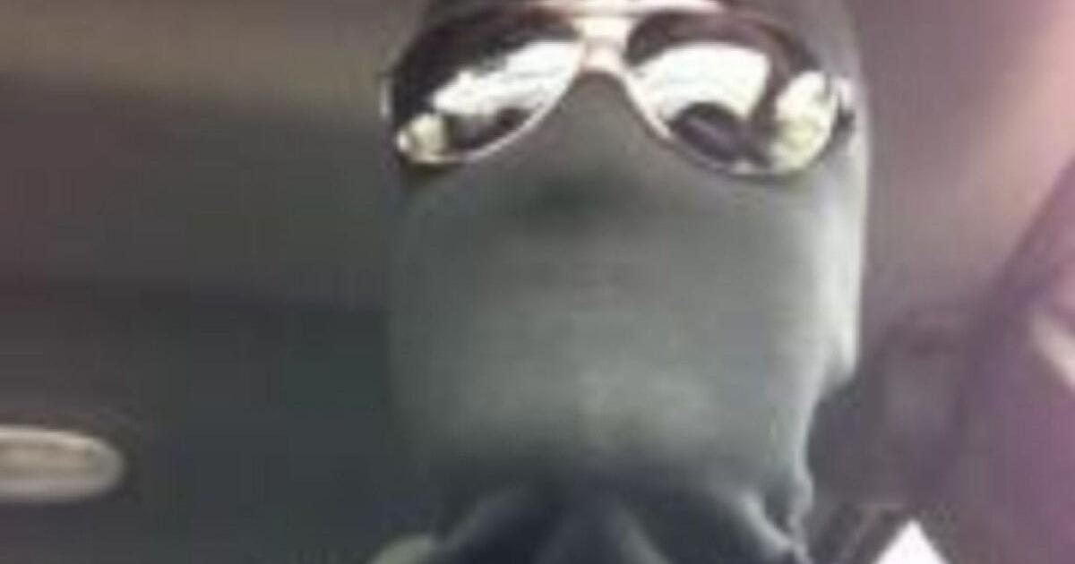 Travis Baumgartner: Passed strict screening to get job at security company