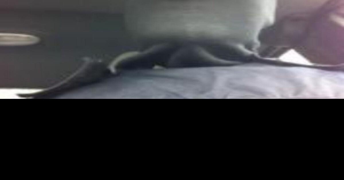 Travis Baumgartner: Passed strict screening to get job at security company