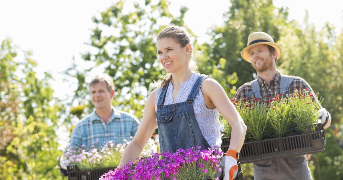 What’s the definition of a gardener?