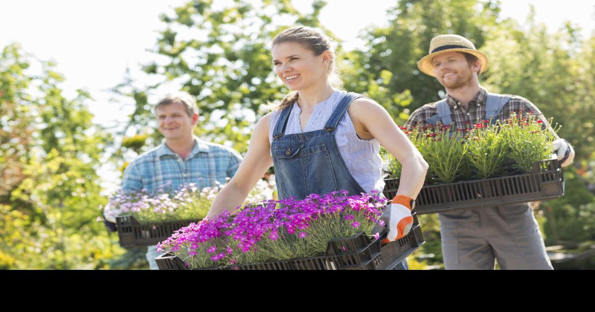 What’s the definition of a gardener?