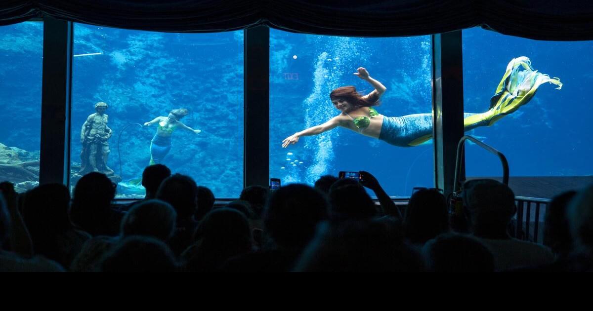 Mermaids captivate audiences in underwater theatre