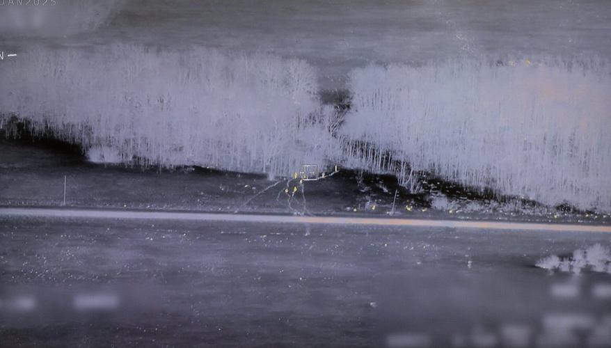 Nine migrants detained, one dead after illegal border crossings into ...