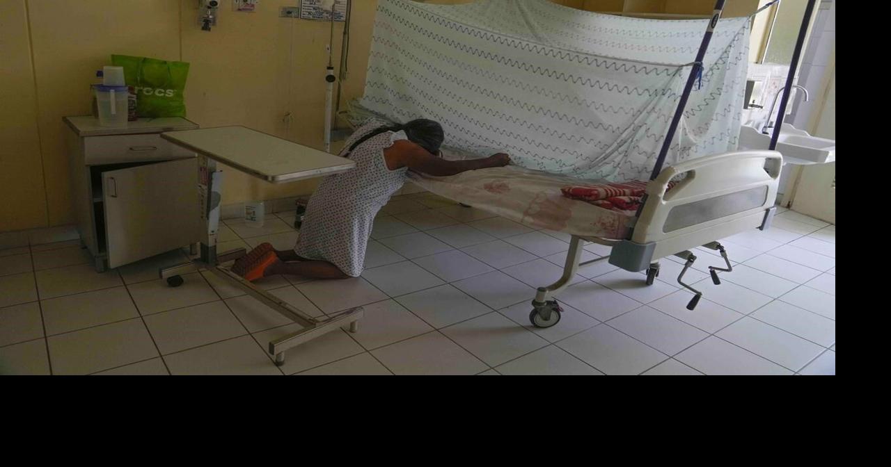 Dengue cases in Peru are surging, fueled by mosquitoes and high ...