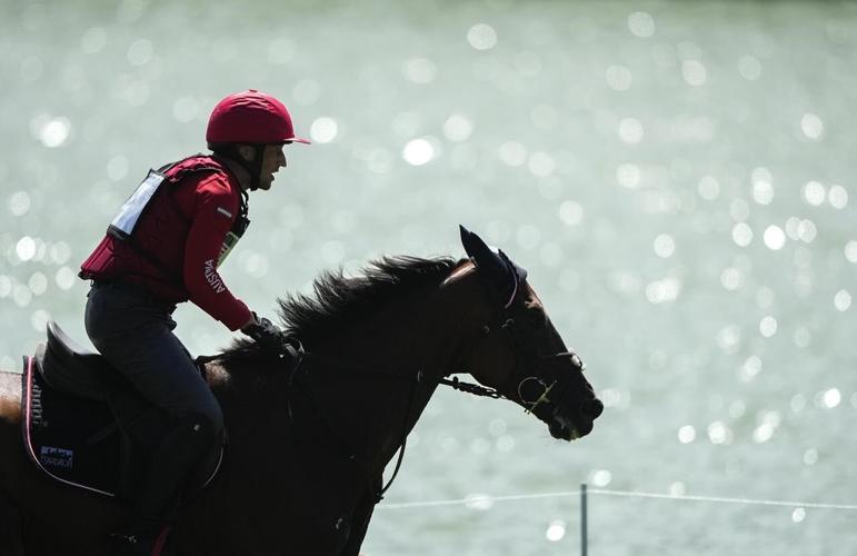 Olympic riders get a memorable gallop in the sumptuous-looking ...