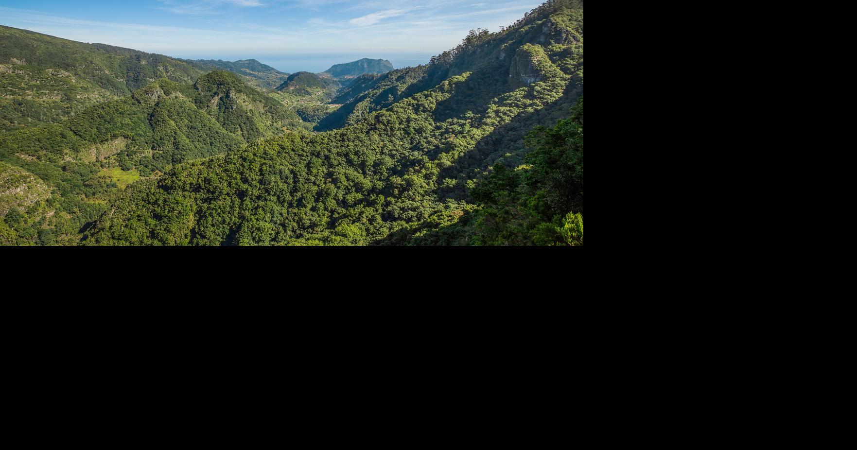 Discover why Madeira is the perfect year-round destination you need to ...