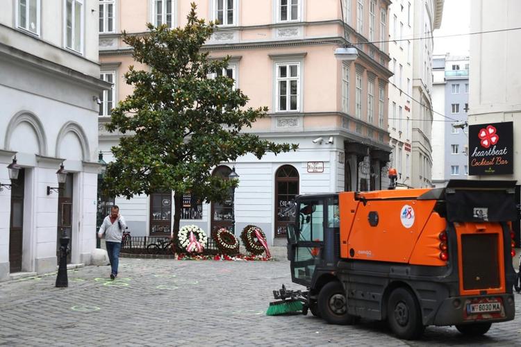 Austria says mistakes made in dealing with Vienna attacker