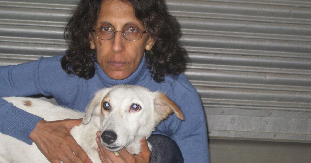 Naz Sayani of Hamilton brings home eight street dogs from India
