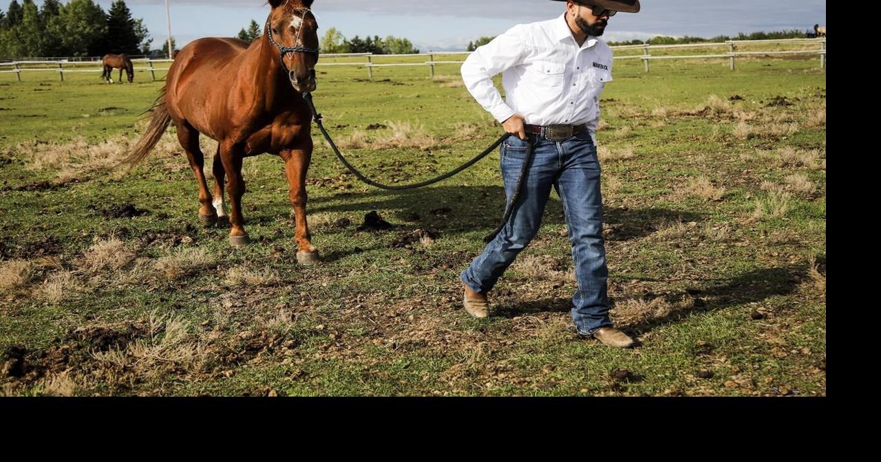 The West Bloc: Maverick Party looks to BQ as inspiration to ensure ...