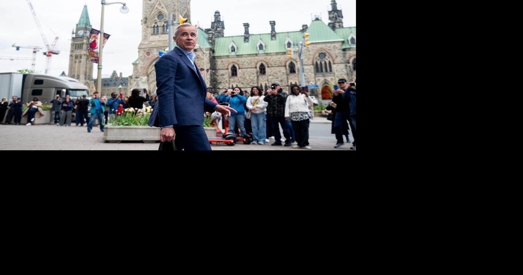 Liberal MPs say they want the power to dump their leader