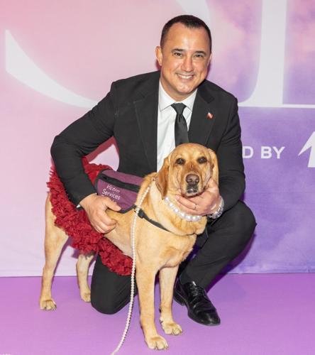 RISE event raises more than $525,000 for abuse survivors