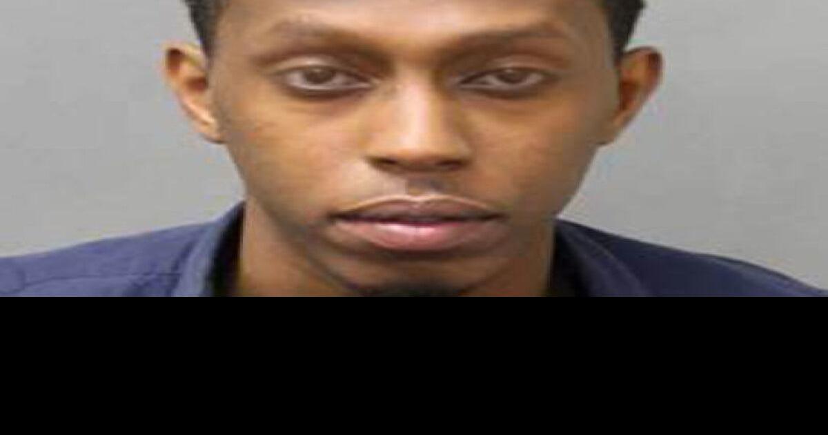 Alleged Sandro Lisi extortion victim pleads guilty to gang-related charges