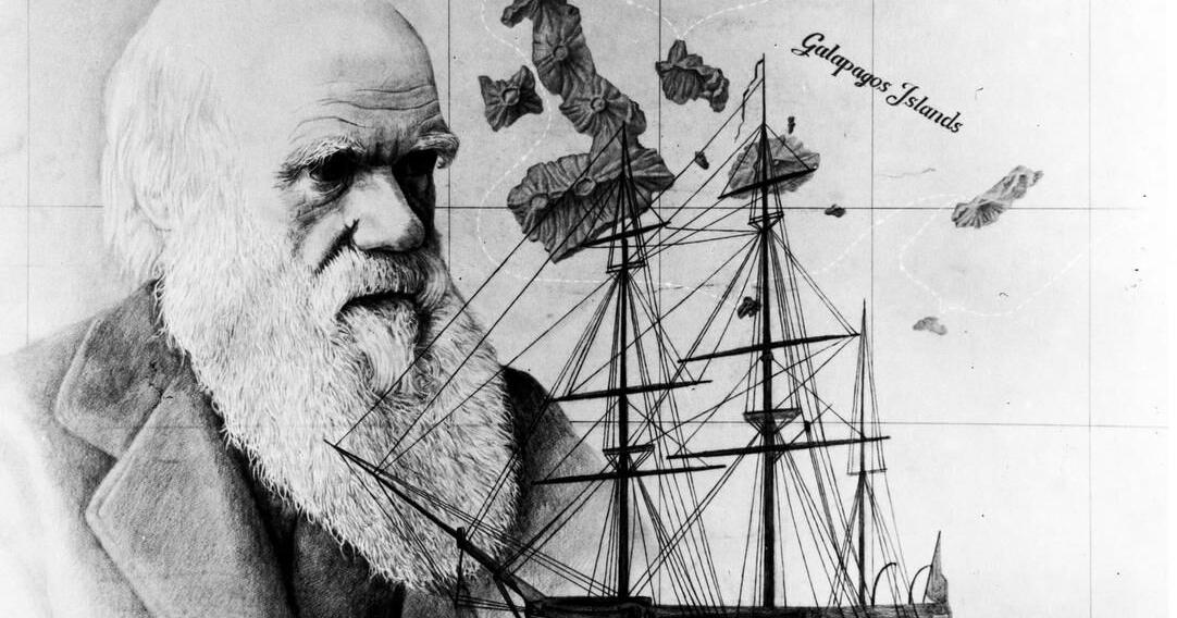 Review: ‘The Evolution of Charles Darwin’ by Diana Preston