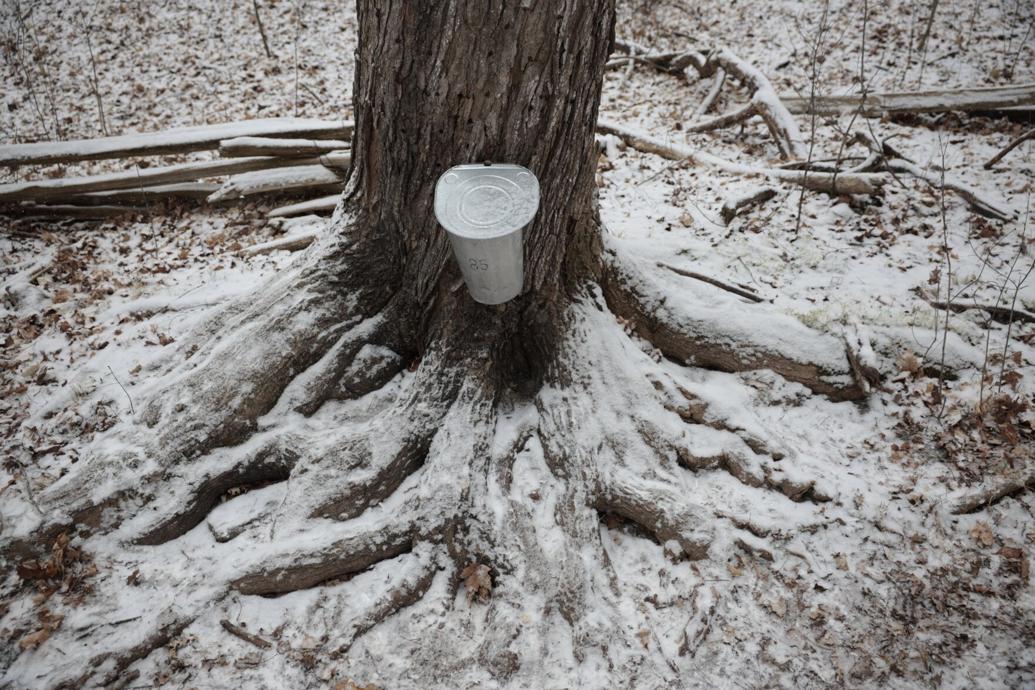 Canada has a national maple syrup reserve. It’s almost empty