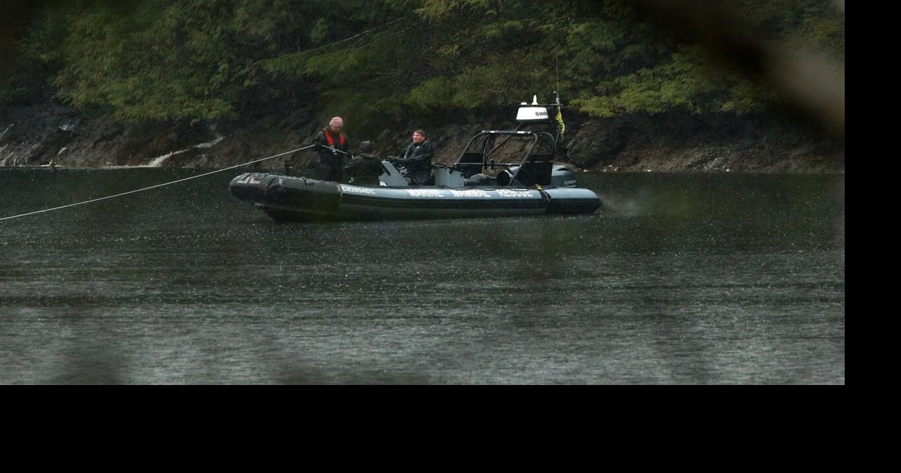 U.S. killer-whale catcher has advice for B.C. rescuers — build rapport ...
