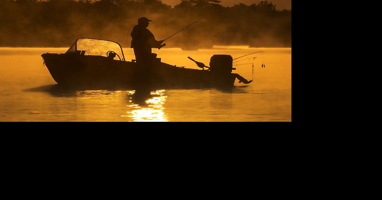 DDT sprayed in New Brunswick forests persists in trout at 'alarming ...