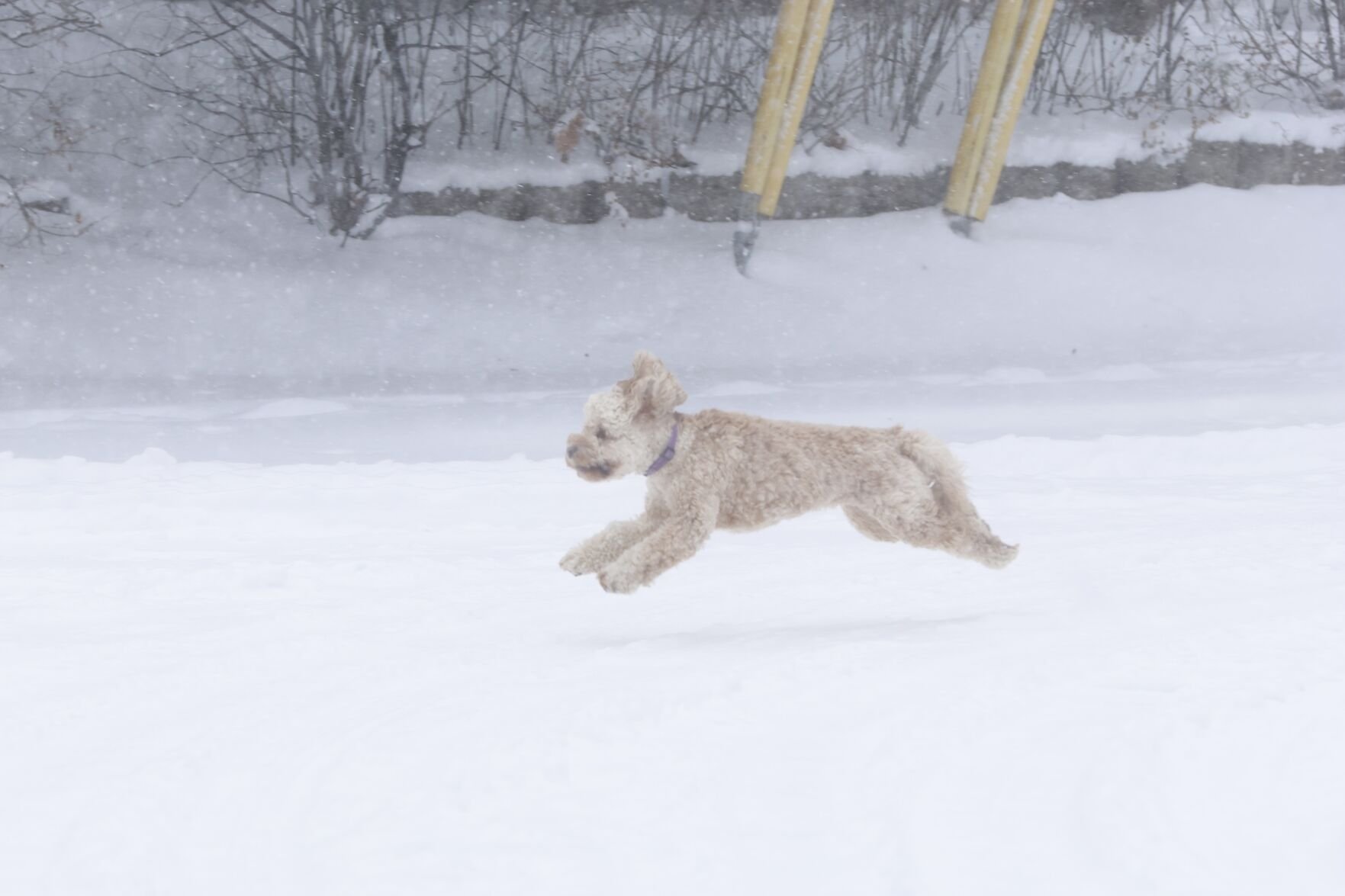 Toronto snowfall warning live: Major commute, travel delays