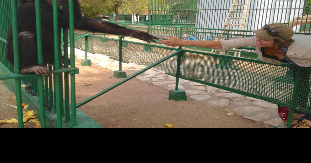 A visit to the zoo, Senegal style: Porter