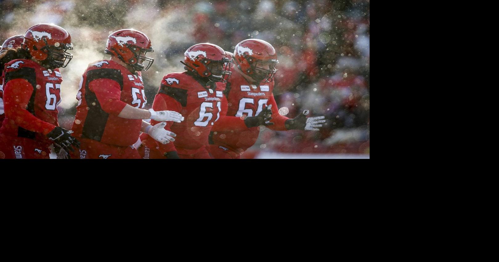 Toronto Argonauts sign veteran Canadian offensive lineman Ryan Sceviour