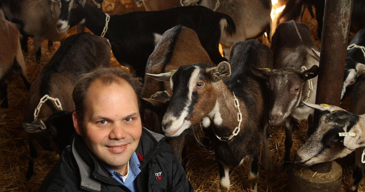 Follow these steps to grow a better goat