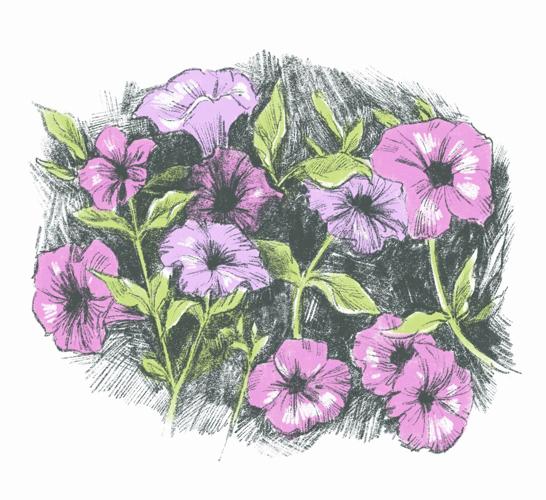 'Neveah was failed': Rare access reveals haunting details about the ...