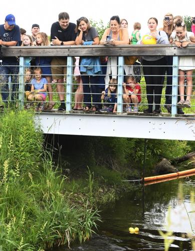 Thousands of rubber ducks rip down a river