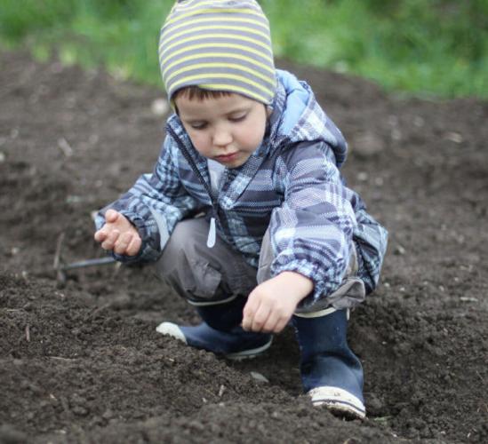 Mark Cullen: Victoria Day long weekend planting tips