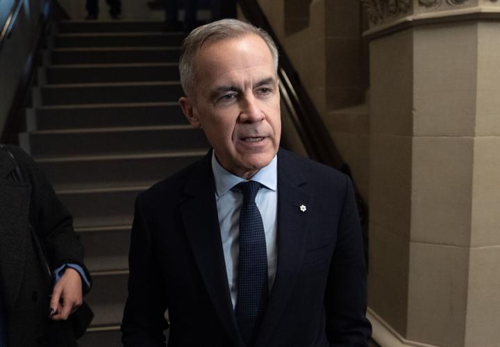 PM Mark Carney has the bones of a plan to manage crisis