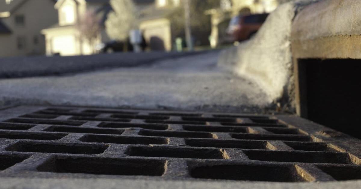 Calgary company fined after pumping hazardous waste into storm drain