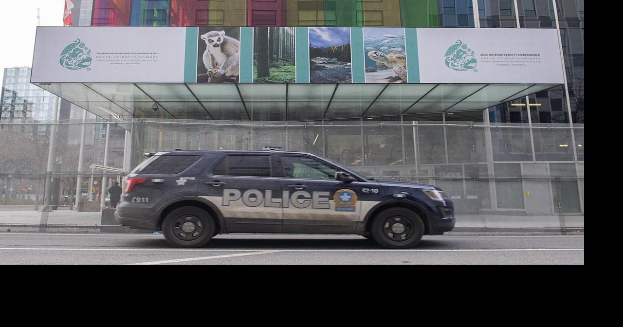 Friday evening homicide is Montreal’s 41st of 2022, highest number ...