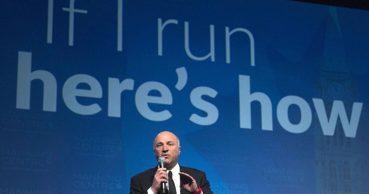 Lisa Raitt or Kevin O’Leary? That’s easy: Salutin