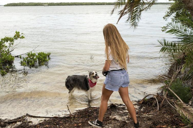 Photos of pets in dorms: Colleges are welcoming animals to help ...