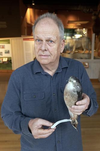 The American Ornithological Society is changing bird names