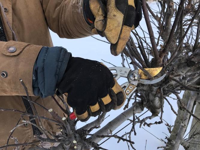 It’s time to get off the couch and into your garden. We’re not kidding ...