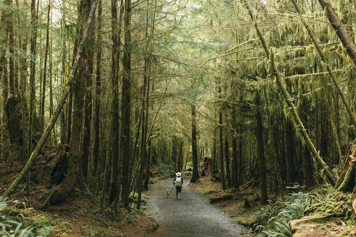 Sombria Beach, a hidden B.C. travel gem