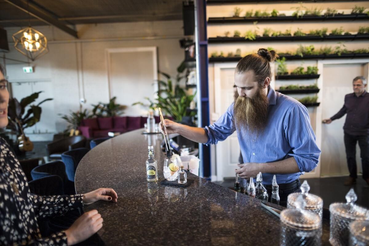 How a ‘crazy’ Toronto family of gin-loving adventure-seekers created ...