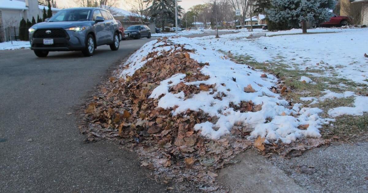 Still waiting for the city to pick up leaves from your gutter? Here’s ...