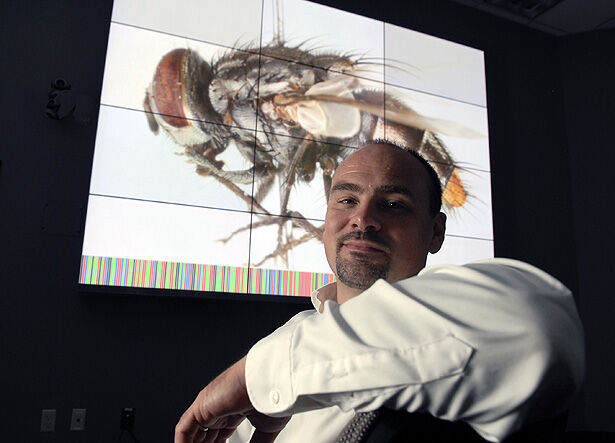 New frontier for DNA team: A bar code for every animal