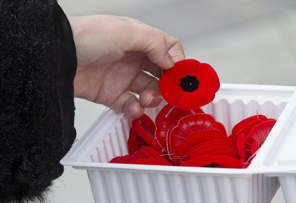 Poppy protocol: six rules you need to follow